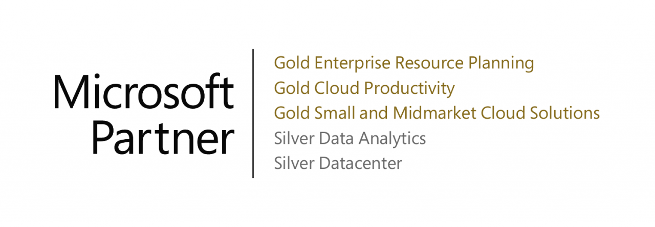 Microsoft Dynamics Gp Services Customization And Support Gravoc